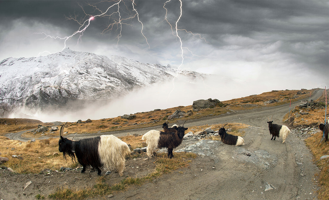 Bible Verse of the Day