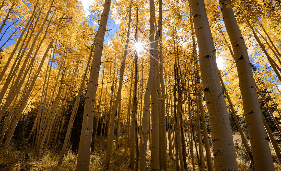 Bible Verse of the Day